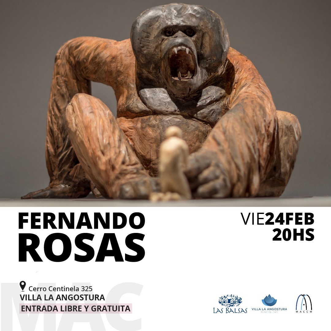 El artista mendocino Fernando Rosas se presenta en el Museo de Arte Contemporáneo – Opinión a Diario